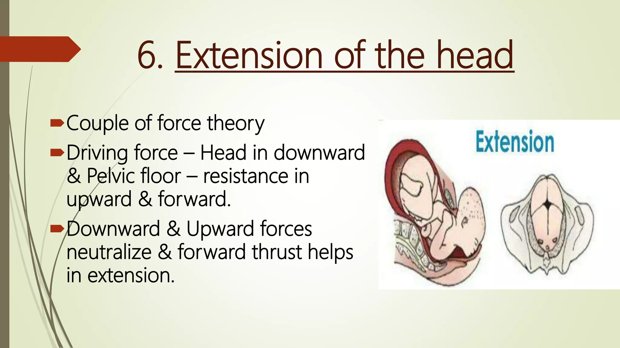 mechanism of labor | PPTX