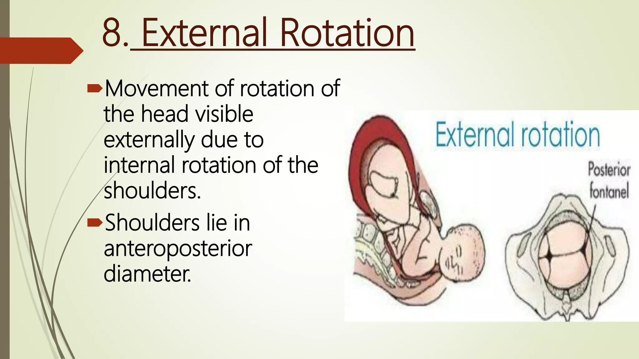 mechanism of labor | PPTX
