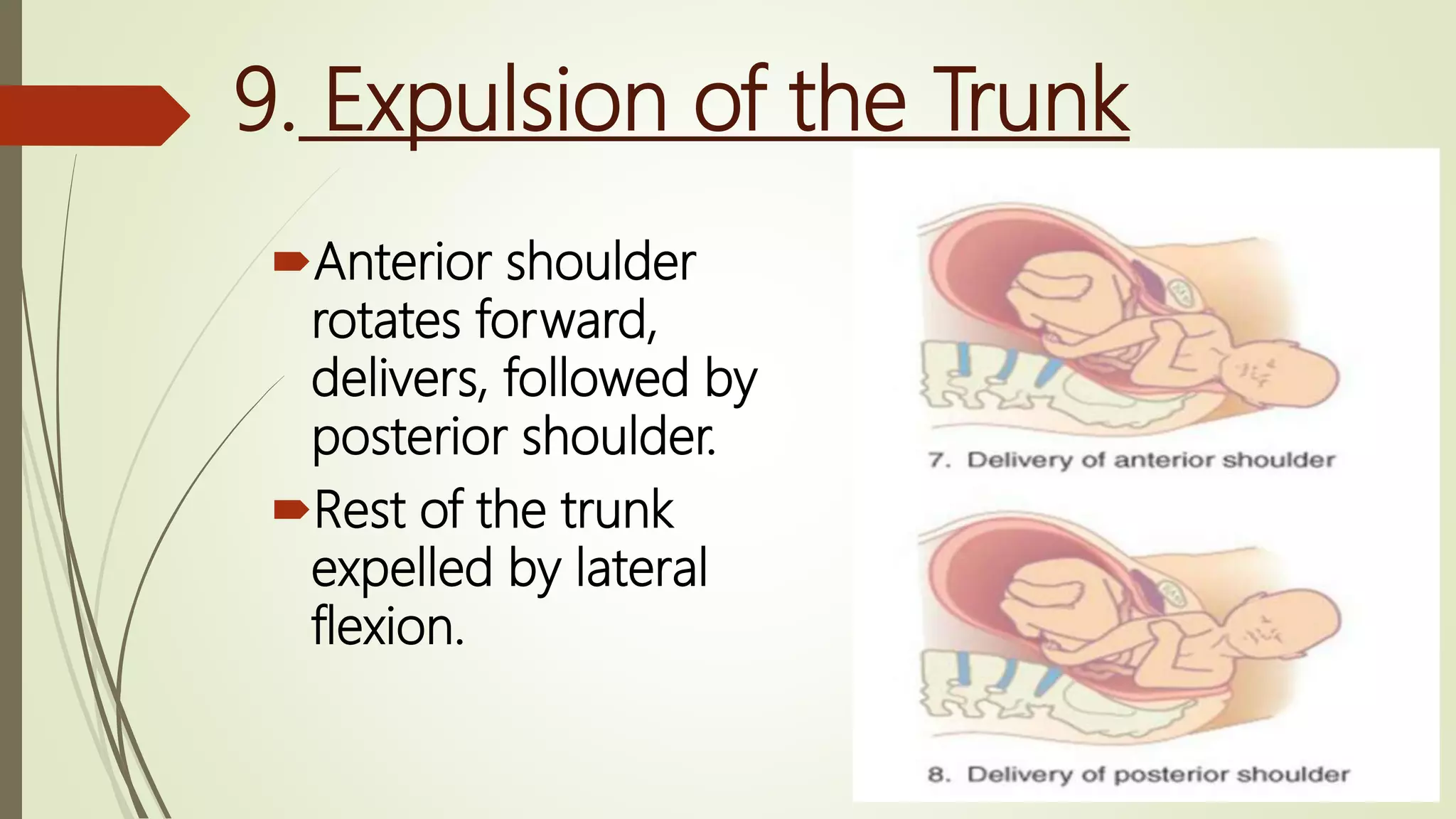 mechanism of labor | PPTX