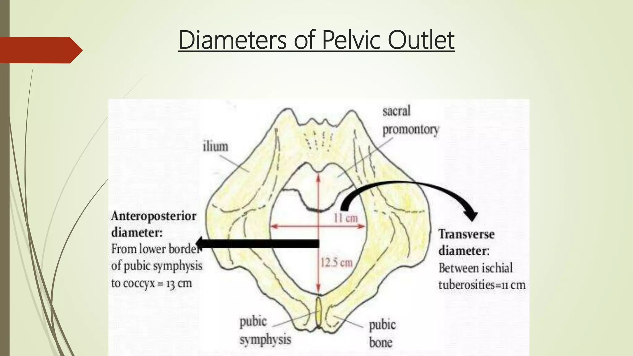 mechanism of labor | PPTX