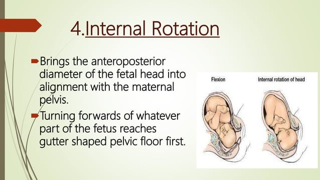 mechanism of labor | PPTX | Pregnancy | Reproductive Health