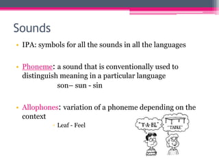 Teachpron todo | PPT