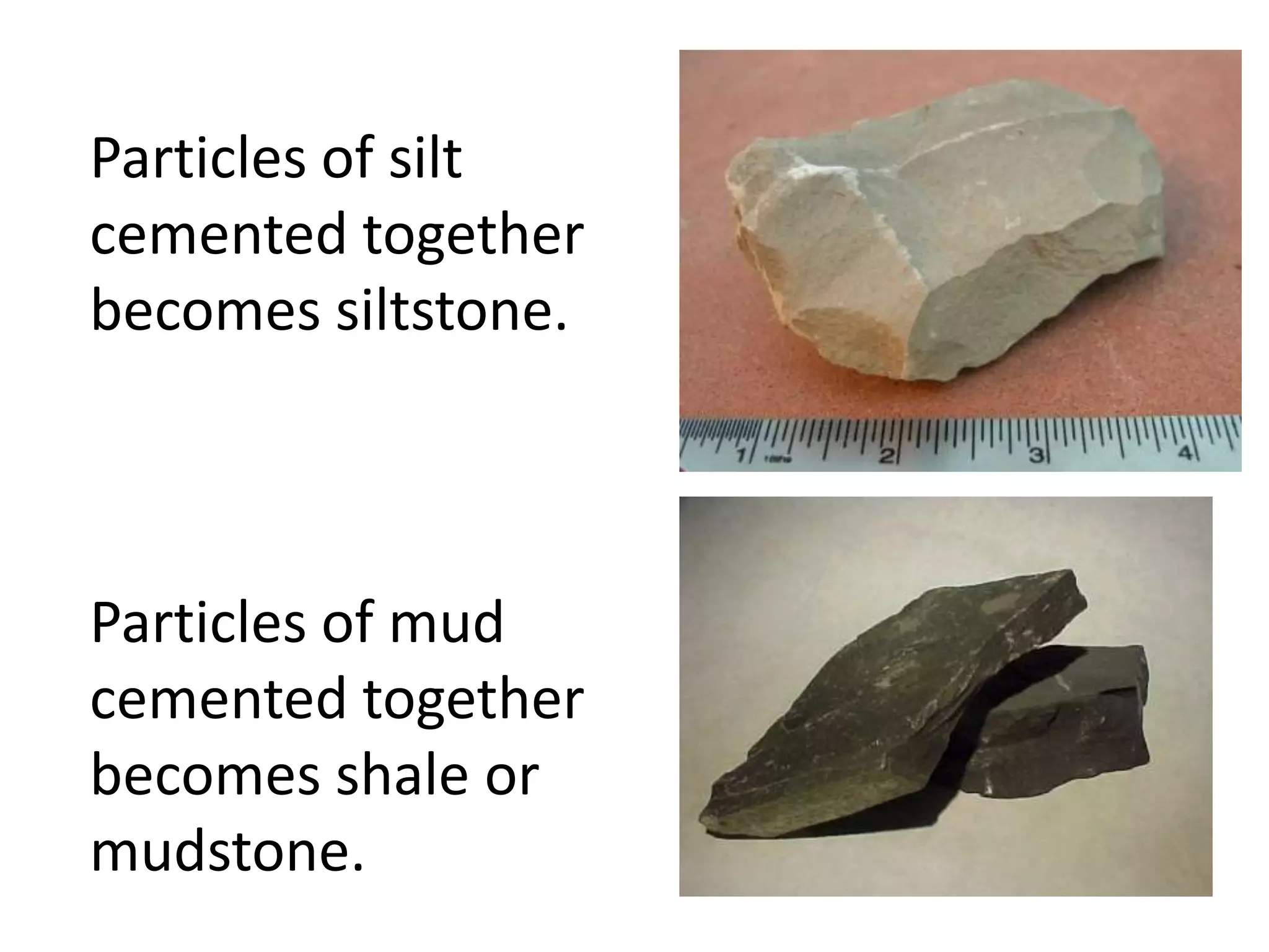 SEDIMENTARY ROCK (teach) | PPTX