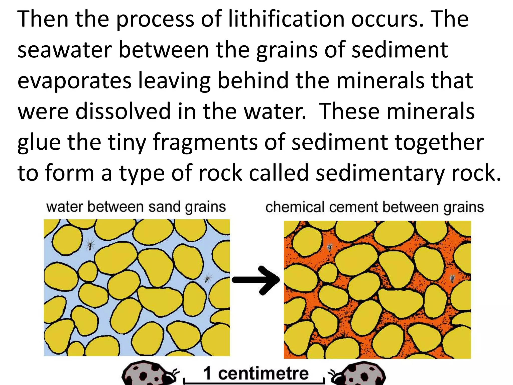 SEDIMENTARY ROCK (teach) | PPTX