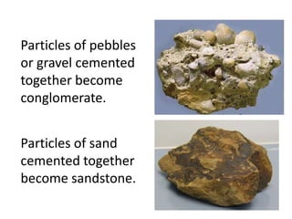SEDIMENTARY ROCK (teach) | PPTX