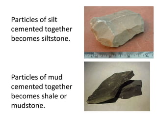 SEDIMENTARY ROCK (teach) | PPTX