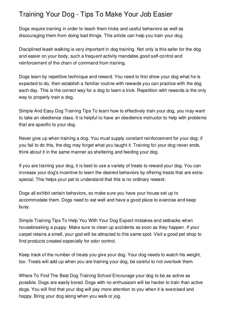 How To Self Train A Dog