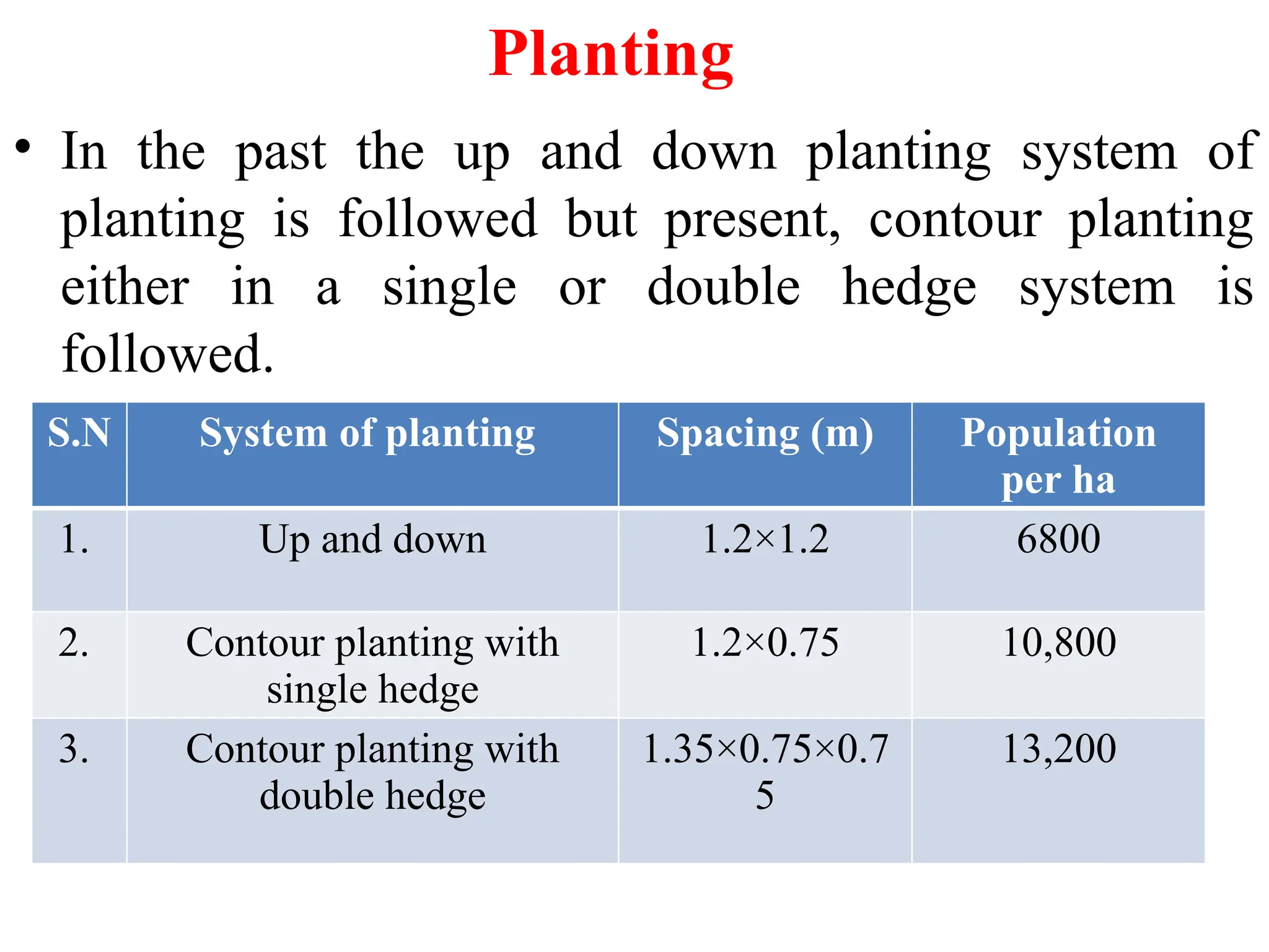 Production Technology of Tea cultivation.pptx
