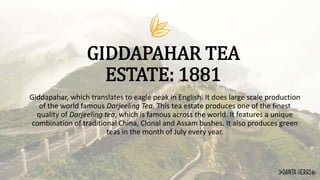 Tea estates in darjeeling | PPTX