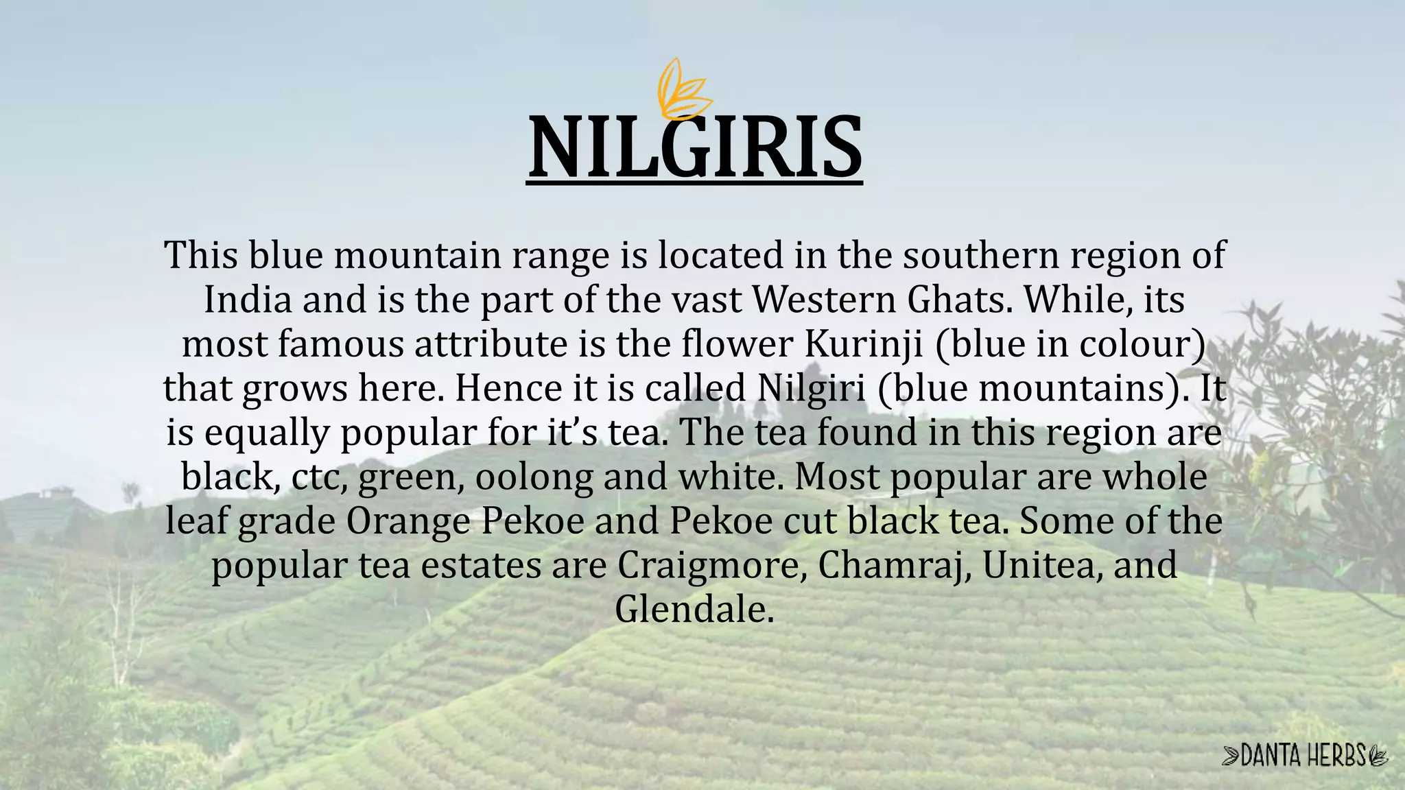Tea estates in nilgiris | PPTX