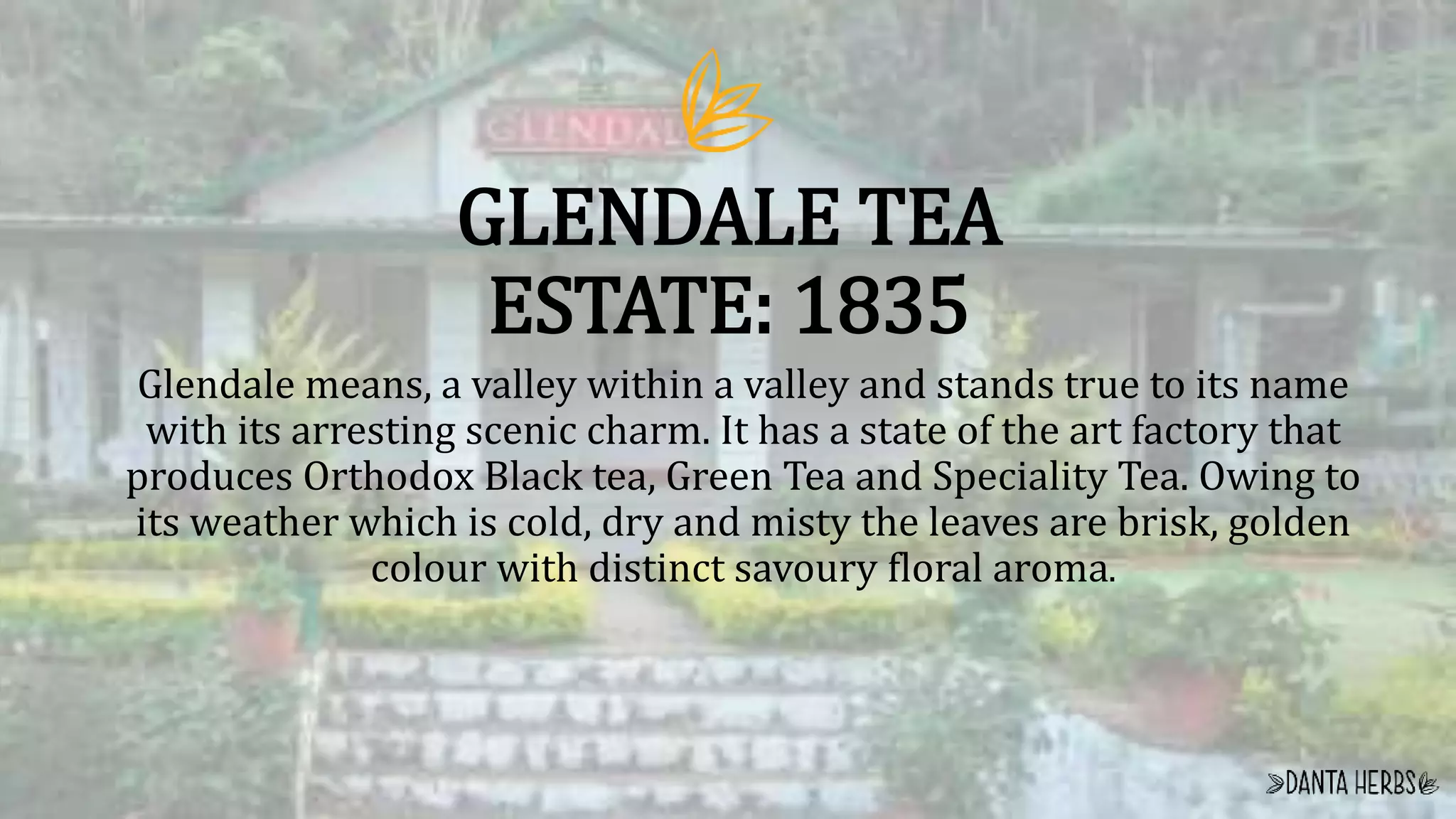 Tea estates in nilgiris | PPTX