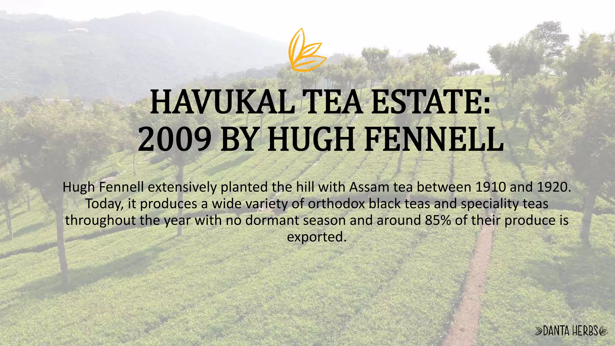 Tea estates in nilgiris | PPTX