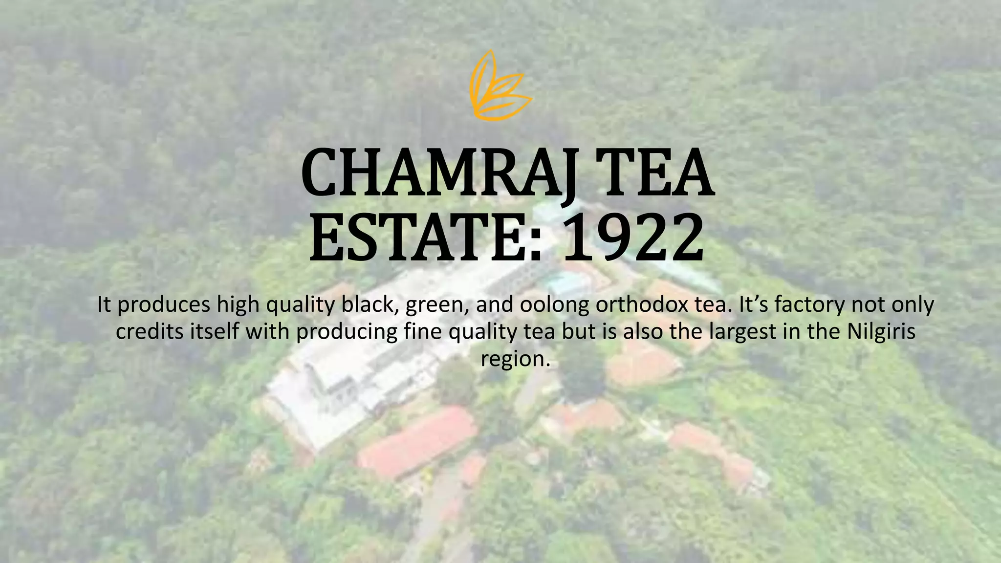 Tea estates in nilgiris | PPTX