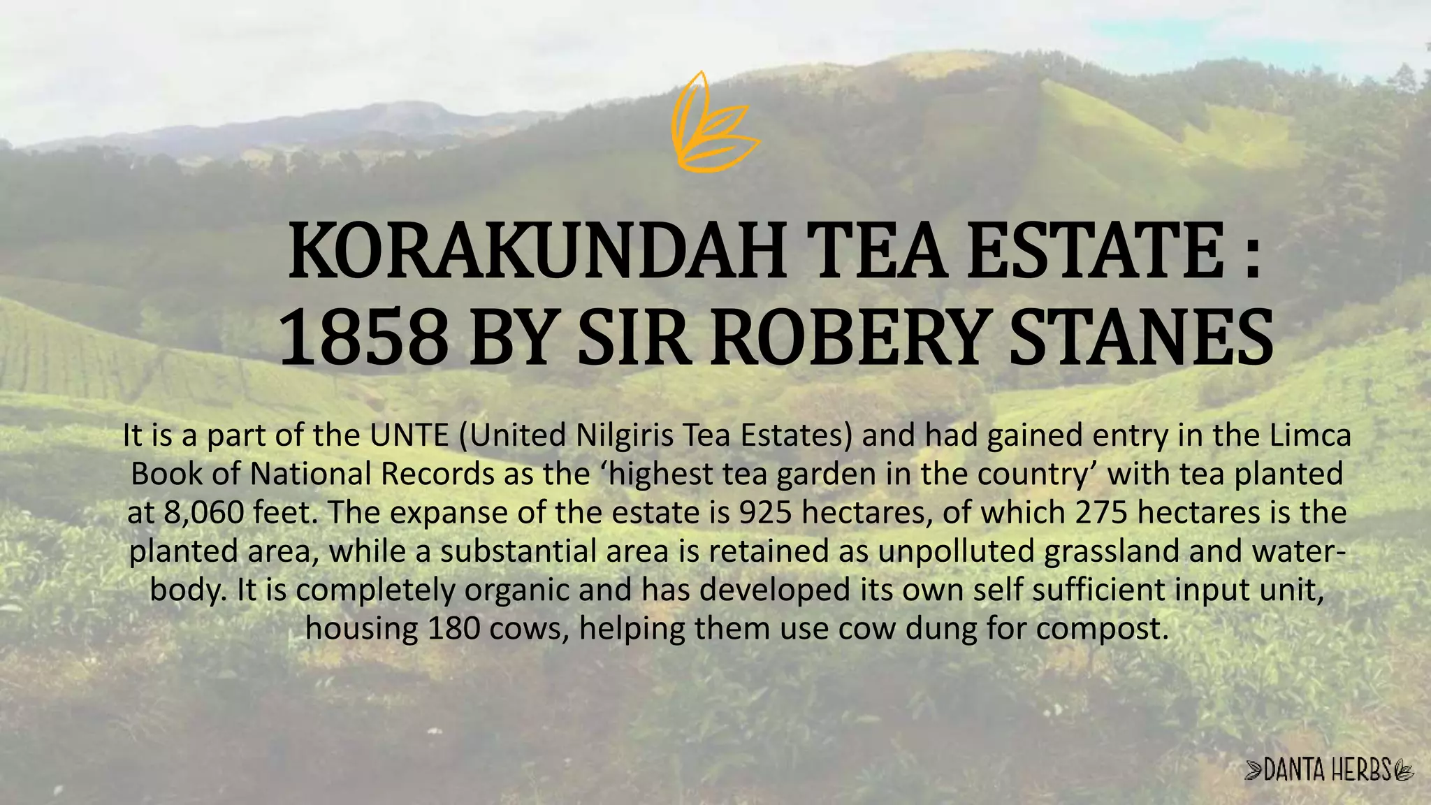 Tea estates in nilgiris | PPTX