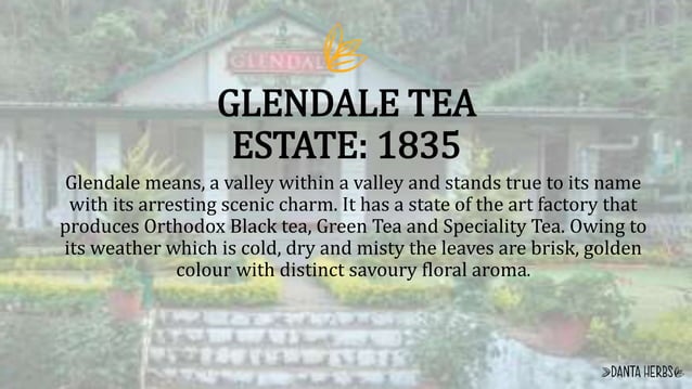 Tea estates in nilgiris | PPTX