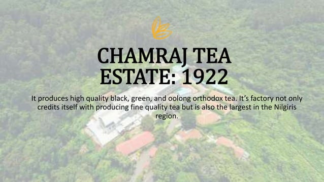 Tea estates in nilgiris | PPTX