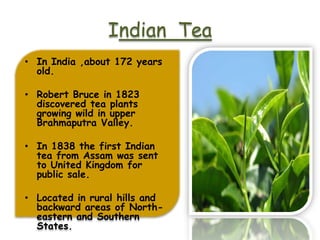 Tea export | PPTX