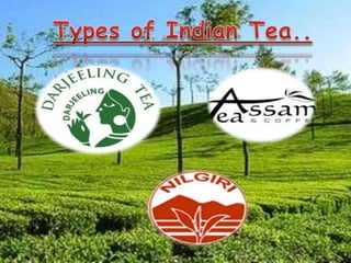 Tea export | PPT