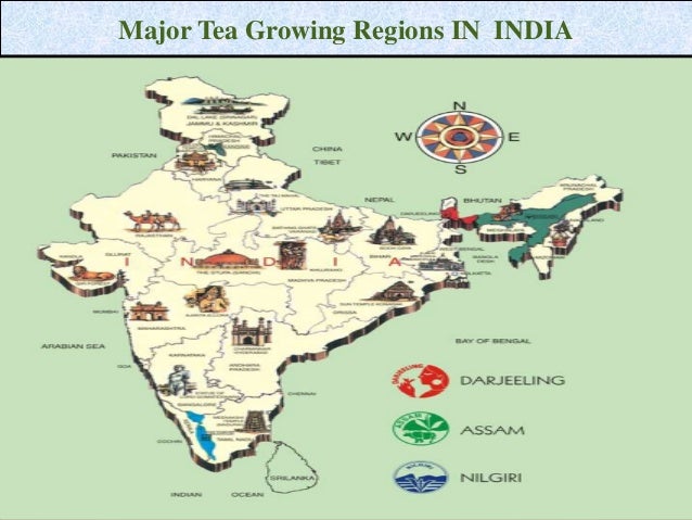 Tea Industry-Exports and Imports