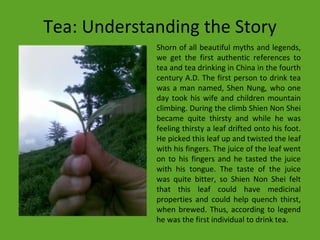 Tea From The Plantation To The Cup | PPT