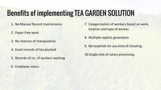 Tea garden solution | PPT