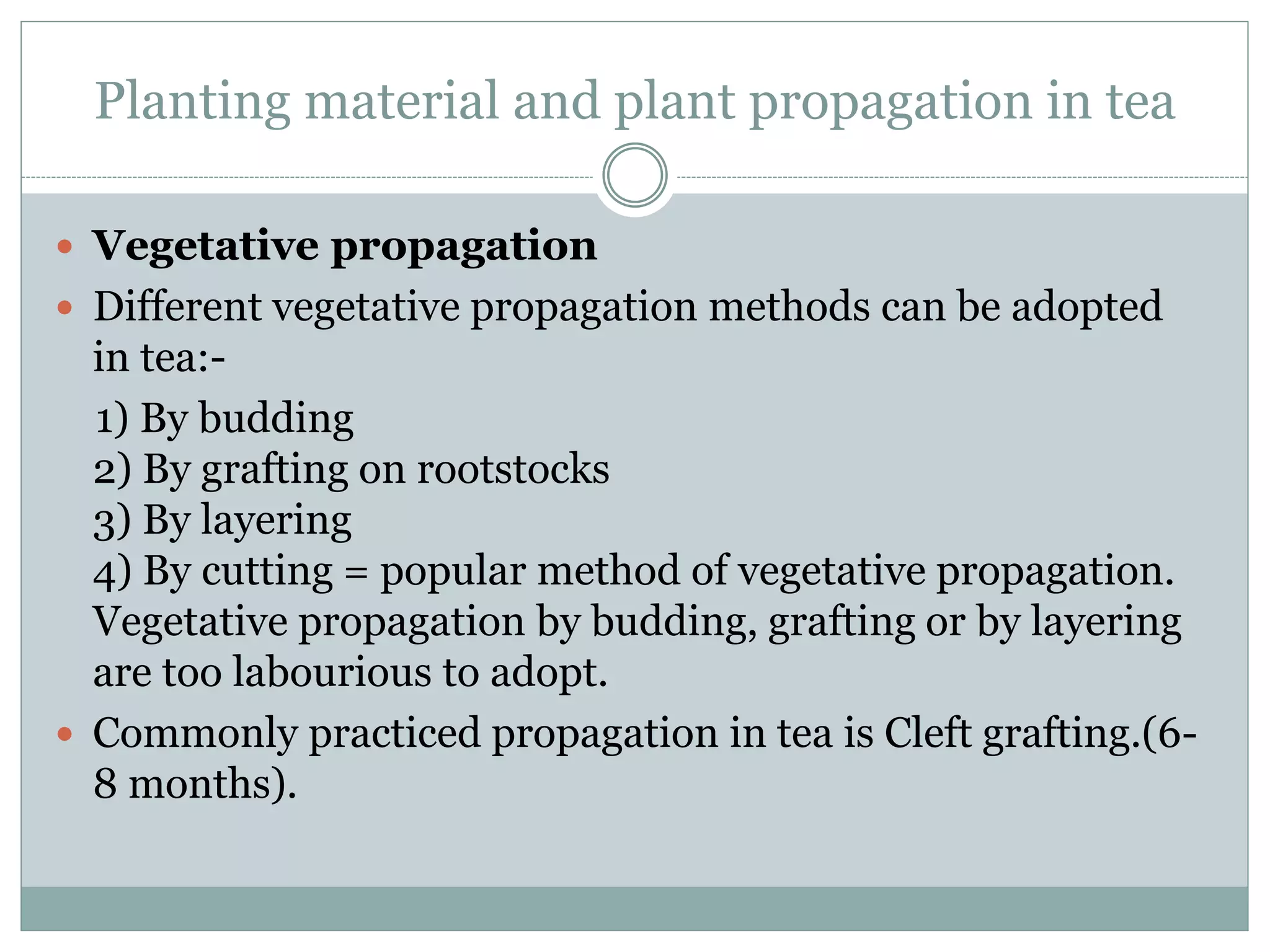 Cultivation Practices of Tea. | PPTX