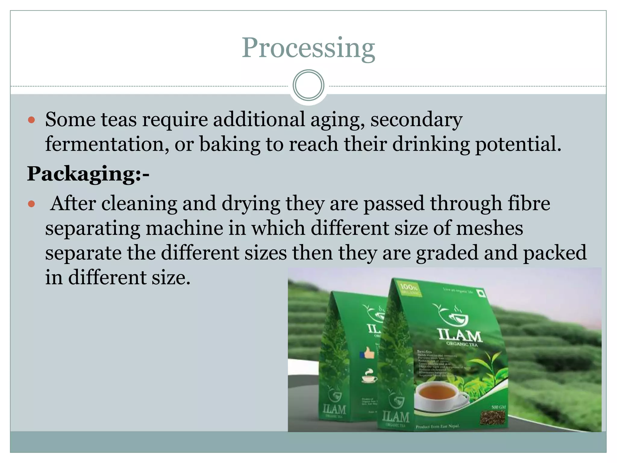 Cultivation Practices Of Tea Pptx