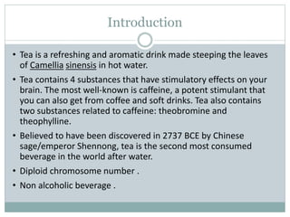 Cultivation Practices of Tea. | PPTX