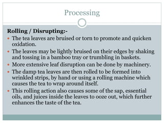 Cultivation Practices of Tea. | PPTX