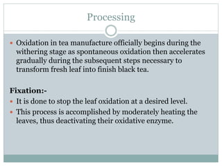 Cultivation Practices of Tea. | PPTX