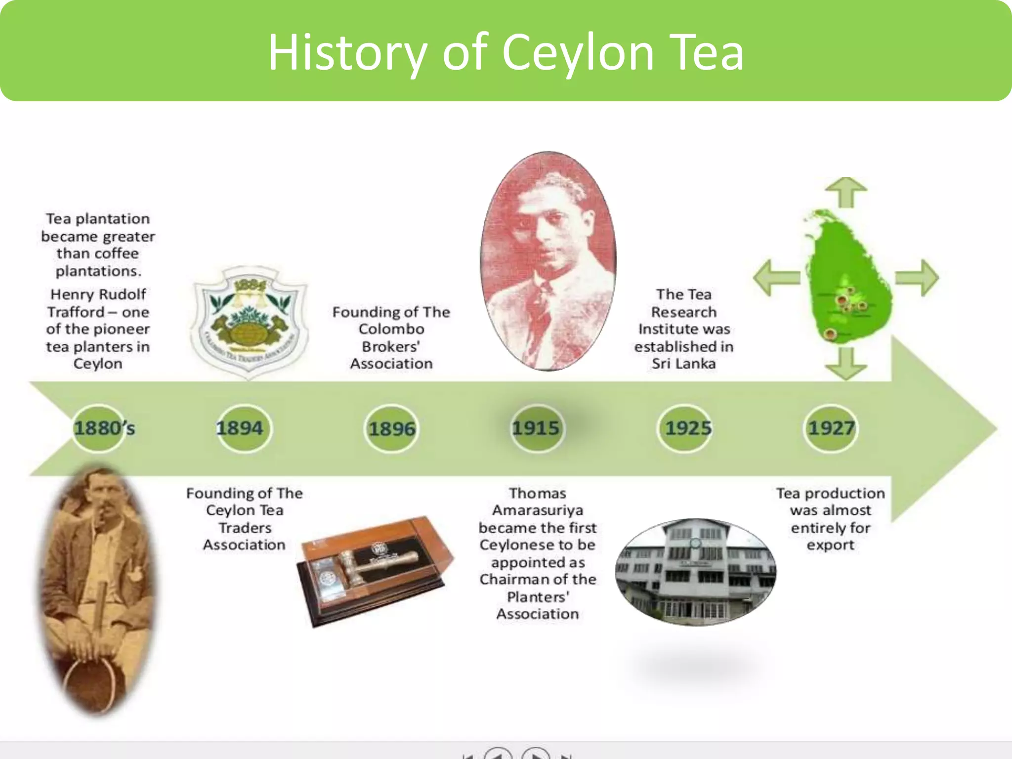 Ceylon Tea history | PPTX
