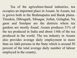 Tea industry in assam | PPTX