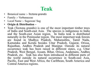 Teak | PPTX