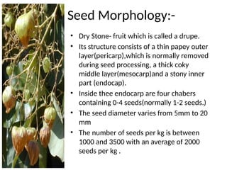Teak presowing treatmenent on seed .pptx