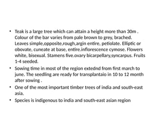 Teak presowing treatmenent on seed .pptx
