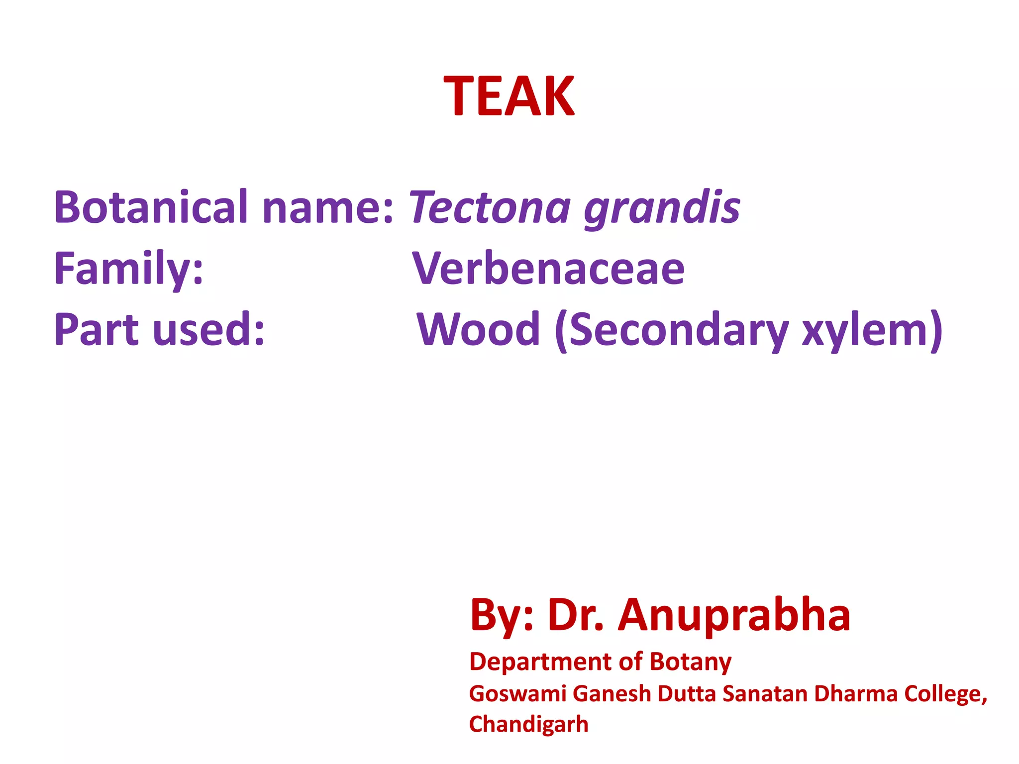Teak morphology and economic importance | PDF