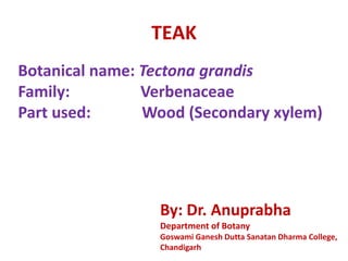 Teak morphology and economic importance | PDF