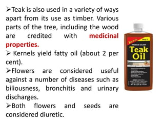 Teak morphology and economic importance | PDF