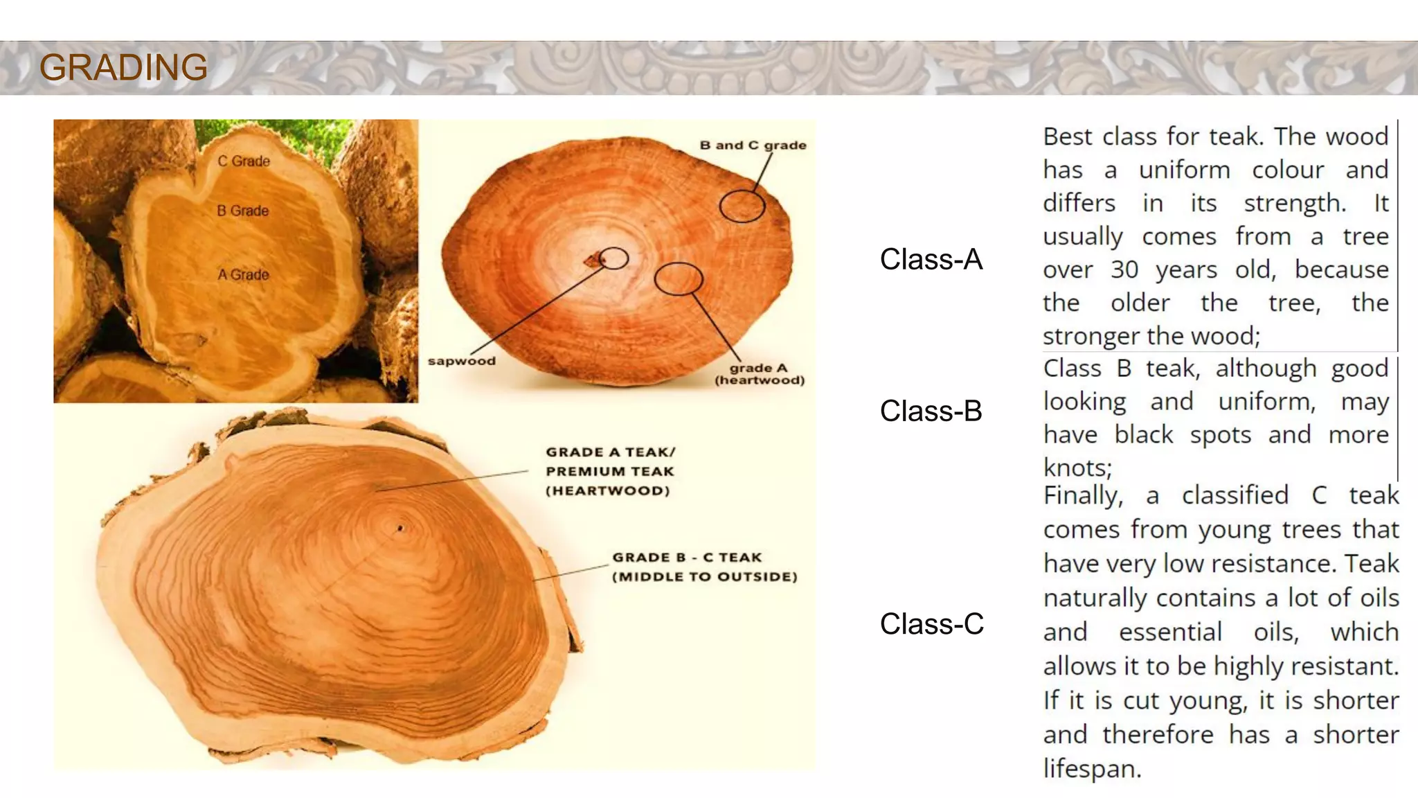 Teak wood | PDF