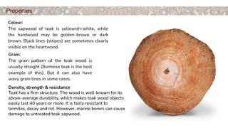Teak wood | PDF