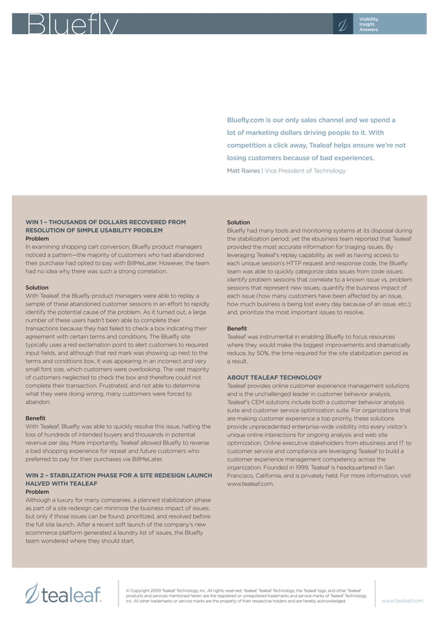Bluefly Case Study | PDF