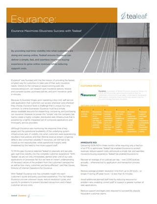 Esurance Case Study | PDF