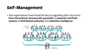 Teal Organizations: Reinventing organizations to promote sustainability ...