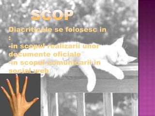 Proiect Popif | PPTX