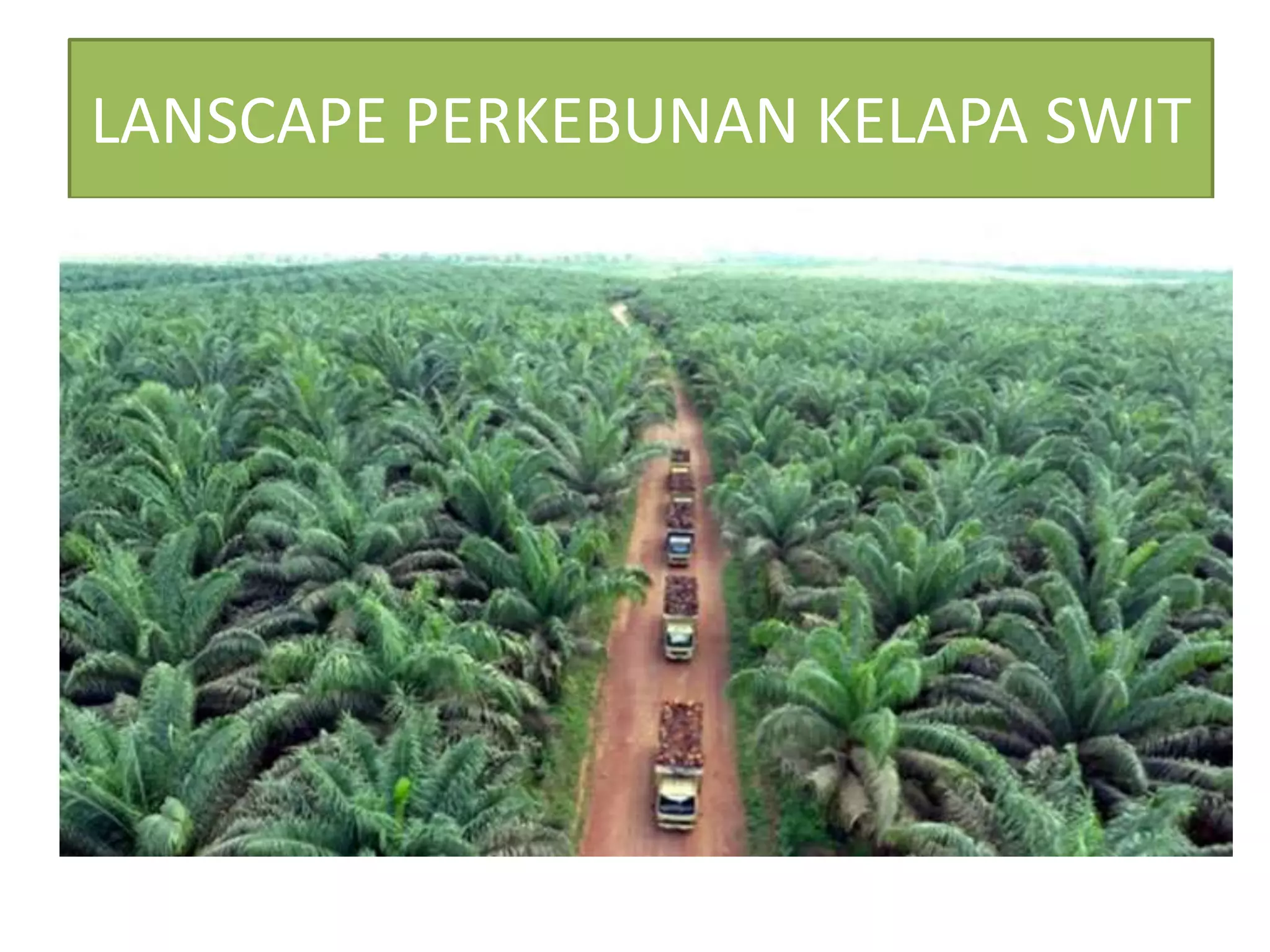 Team manajemen perkebunan | PPT