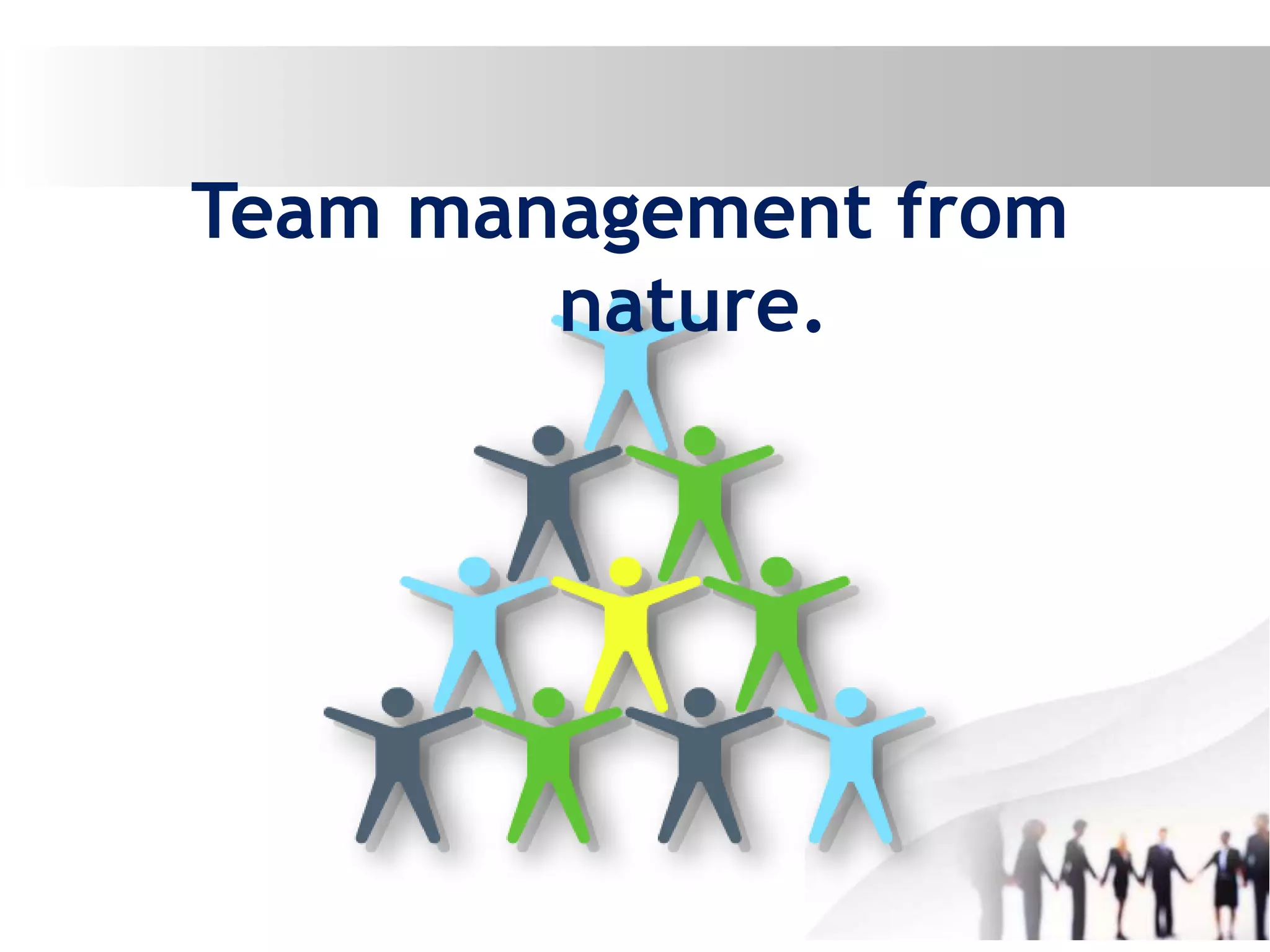 Team Management PPT | PPTX