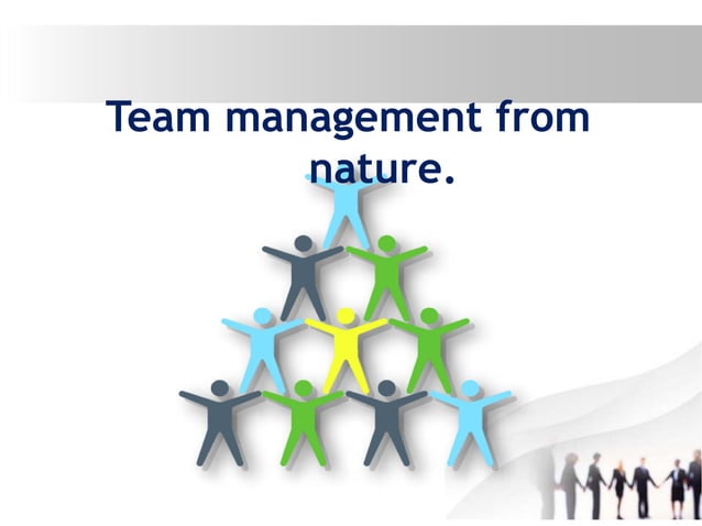 Team Management PPT | PPTX | Business Administration | Business