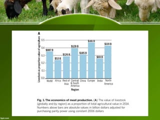Meat consumption, health, and the environment. | PPTX