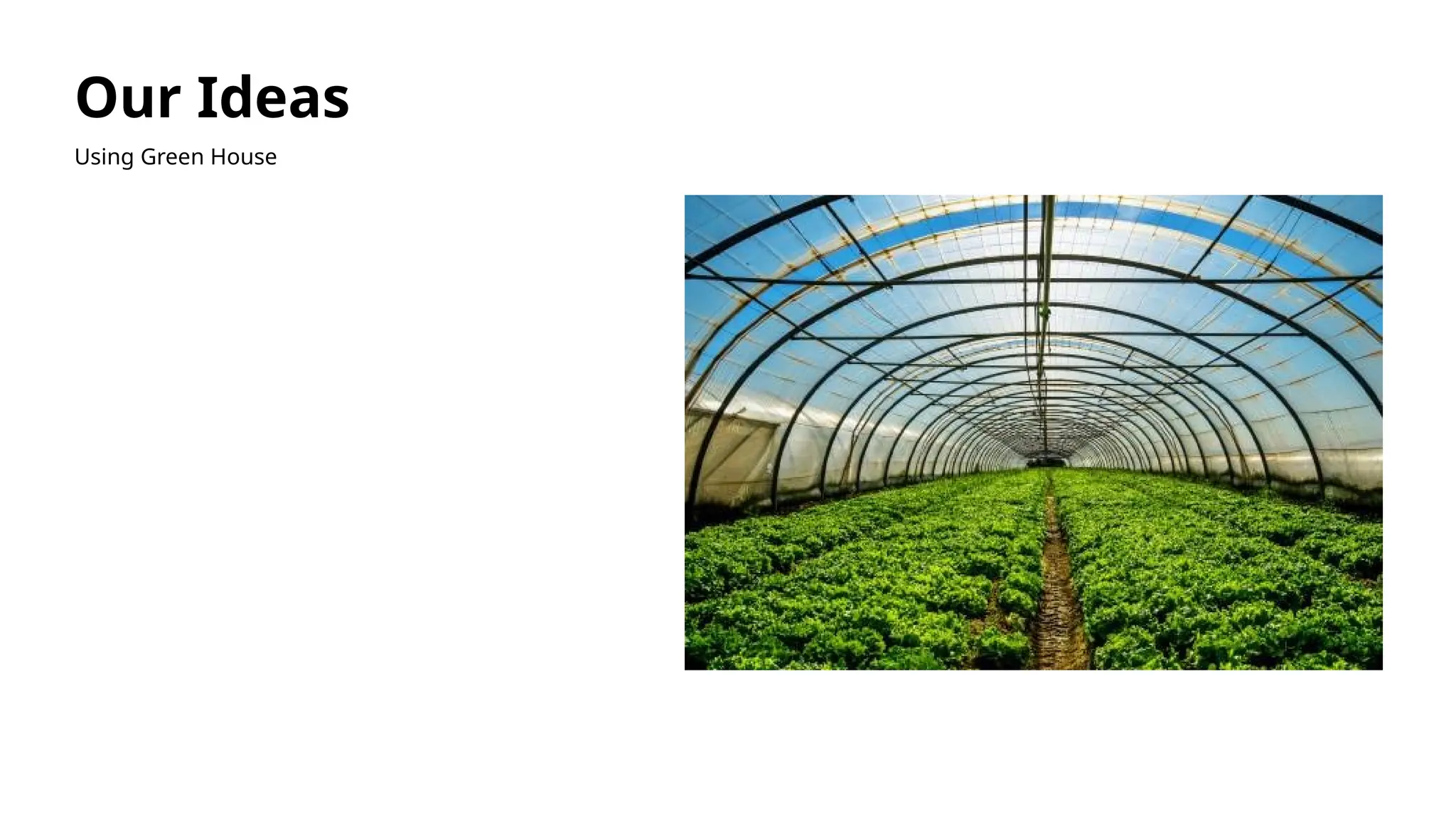 solving problem for any situations .pptx