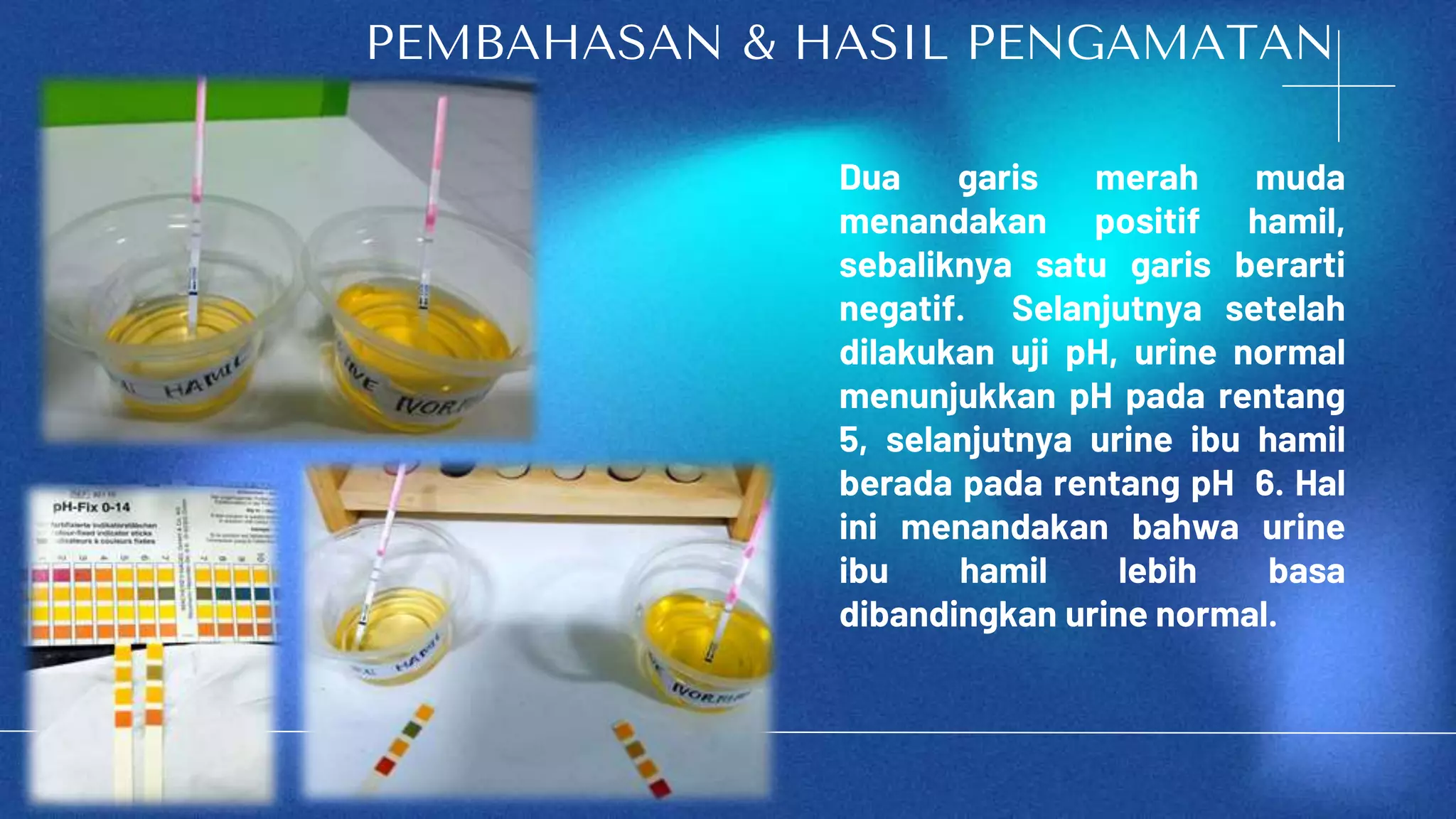 Urine Experiment | PPTX